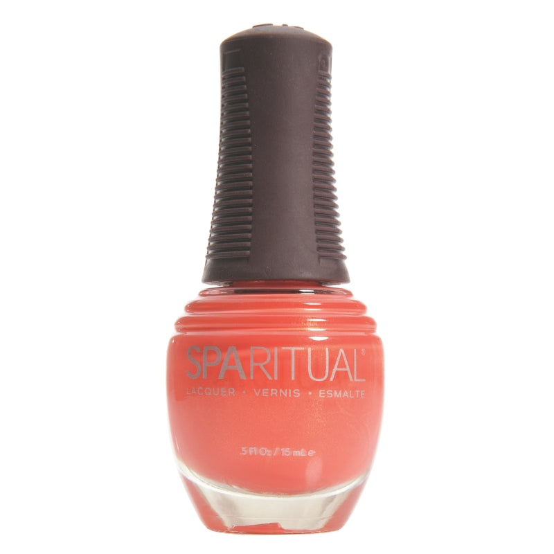 SR Hijinks – NSI Nails