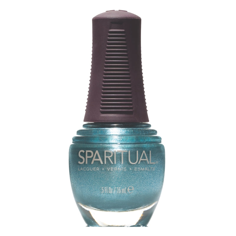 SR In Service – NSI Nails