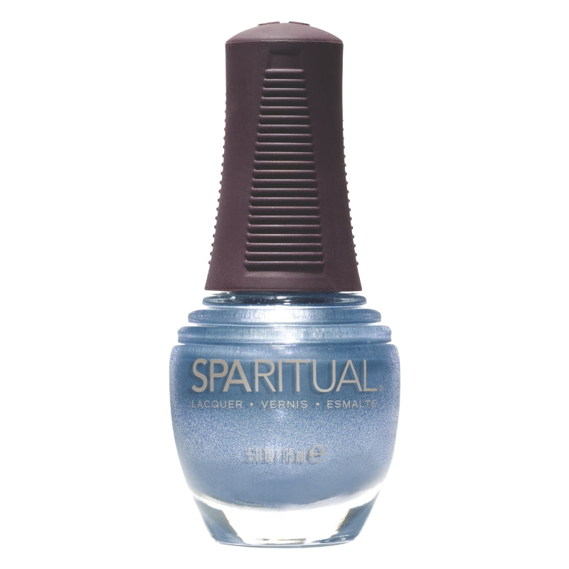 SR Visionary – NSI Nails