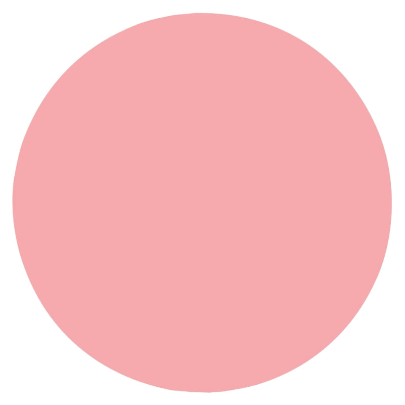 Attraction Coral Pink Powder 40g – NSI Nails